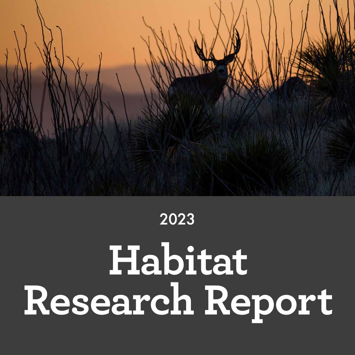RESEARCH REPORTS - BORDERLANDS RESEARCH INSTITUTE