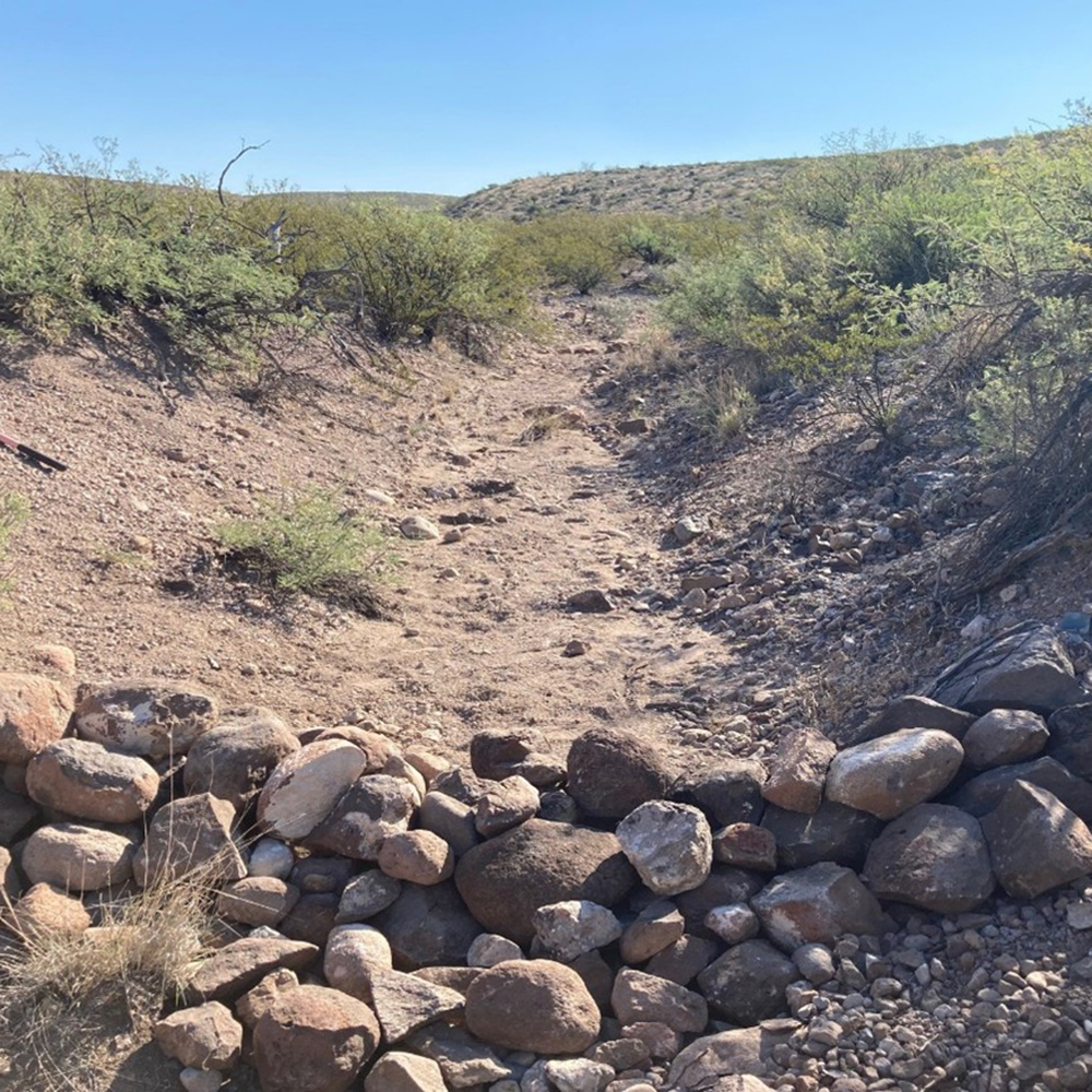 Desert Lifelines — Riparian Restoration - BORDERLANDS RESEARCH INSTITUTE